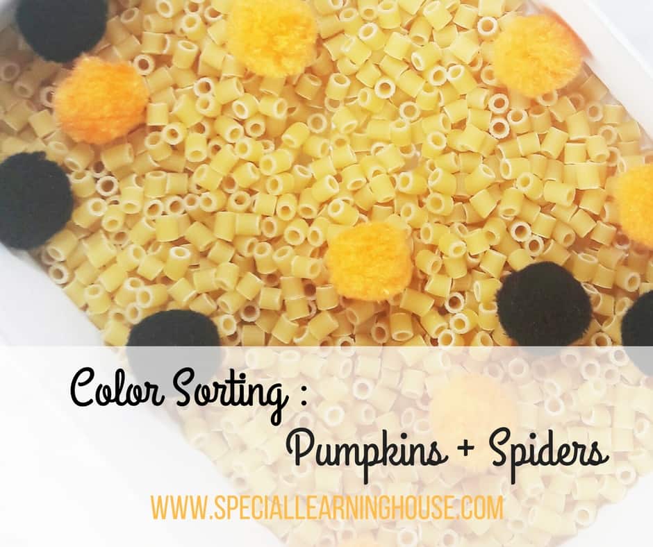 Halloween Sensory Box : Color sorting pumpkins & spiders - Special ...