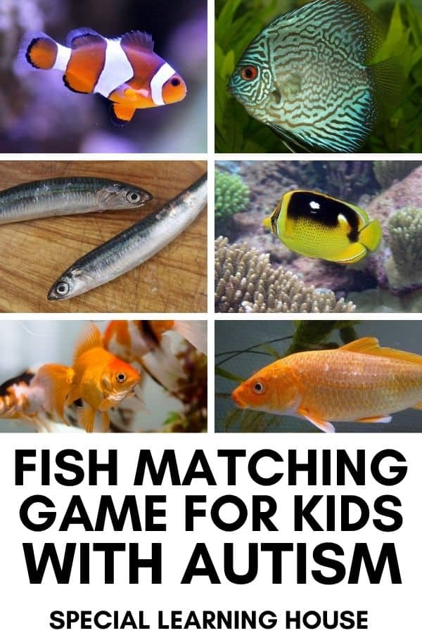 Fish Matching Game for Kids with Autism - Special Learning House