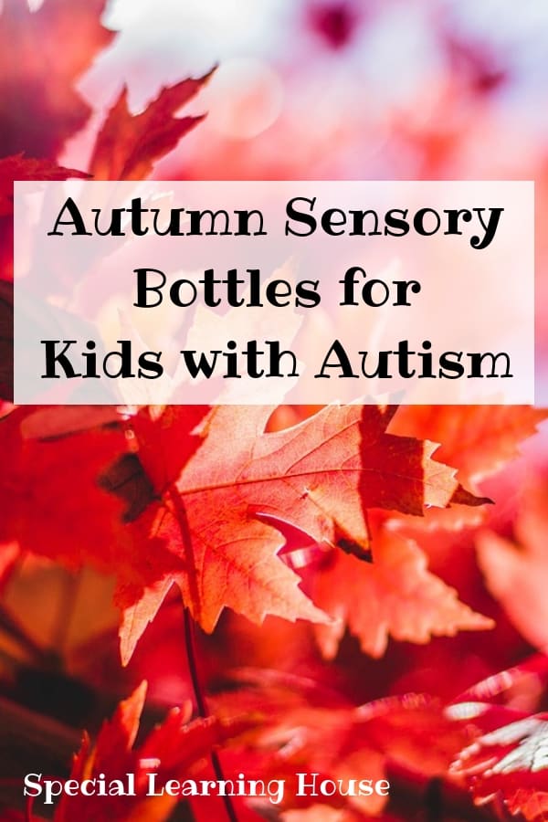 Autumn Sensory Bottles for Kids with Autism - Special Learning House