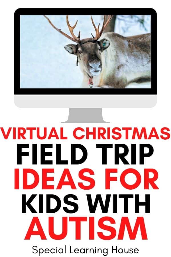 Virtual Christmas Field Trip Ideas - Special Learning House