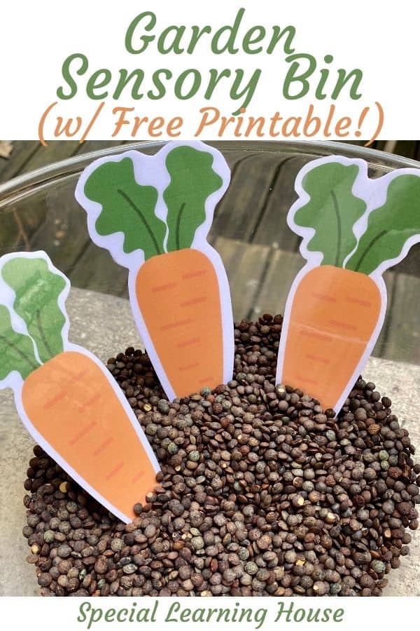 Garden Sensory Bin for Kids with Autism - Special Learning House