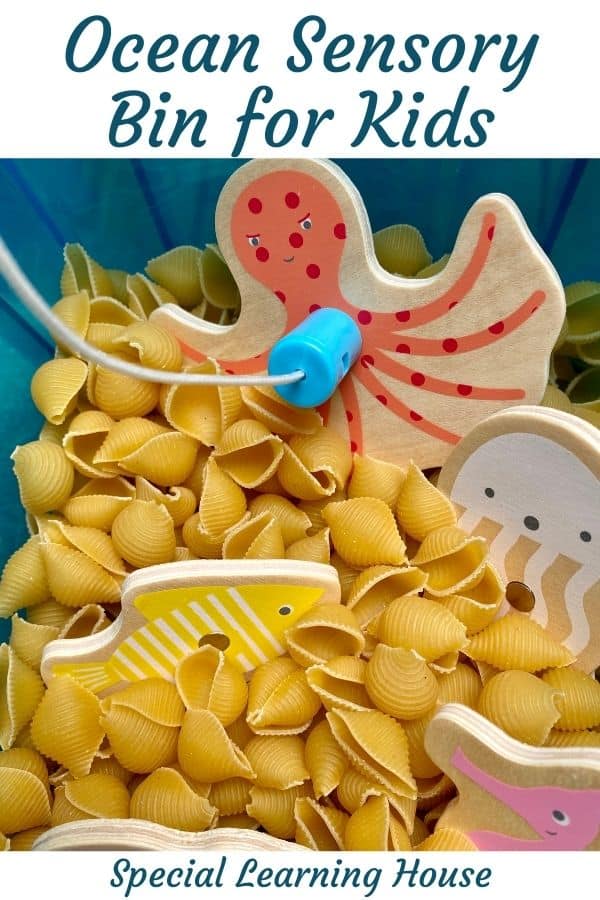 Ocean Sensory Bin for Kids with Autism - Special Learning House